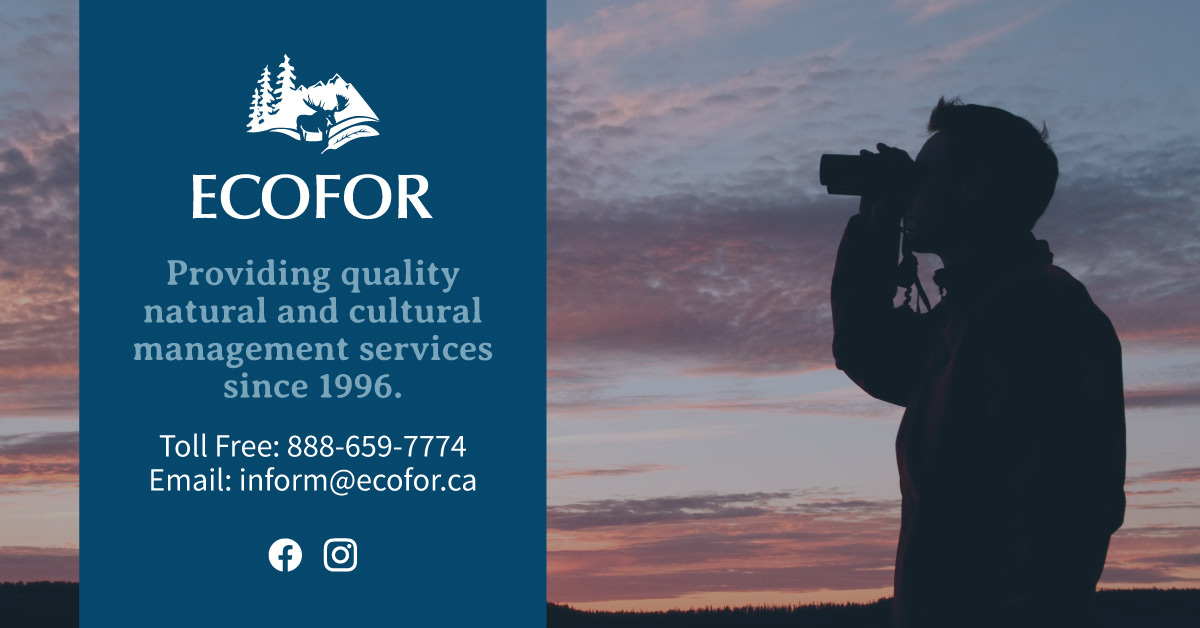 Our Team | Ecofor Consulting Ltd