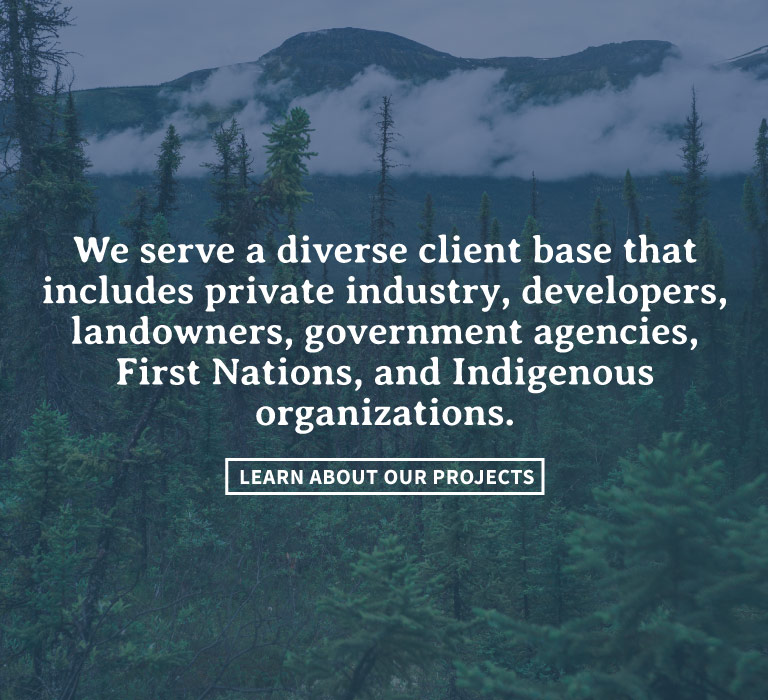 Home - Ecofor Consulting Ltd - Natural & Environmental Resource ...