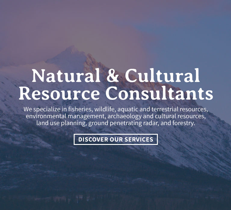 Home - Ecofor Consulting Ltd - Natural & Environmental Resource ...