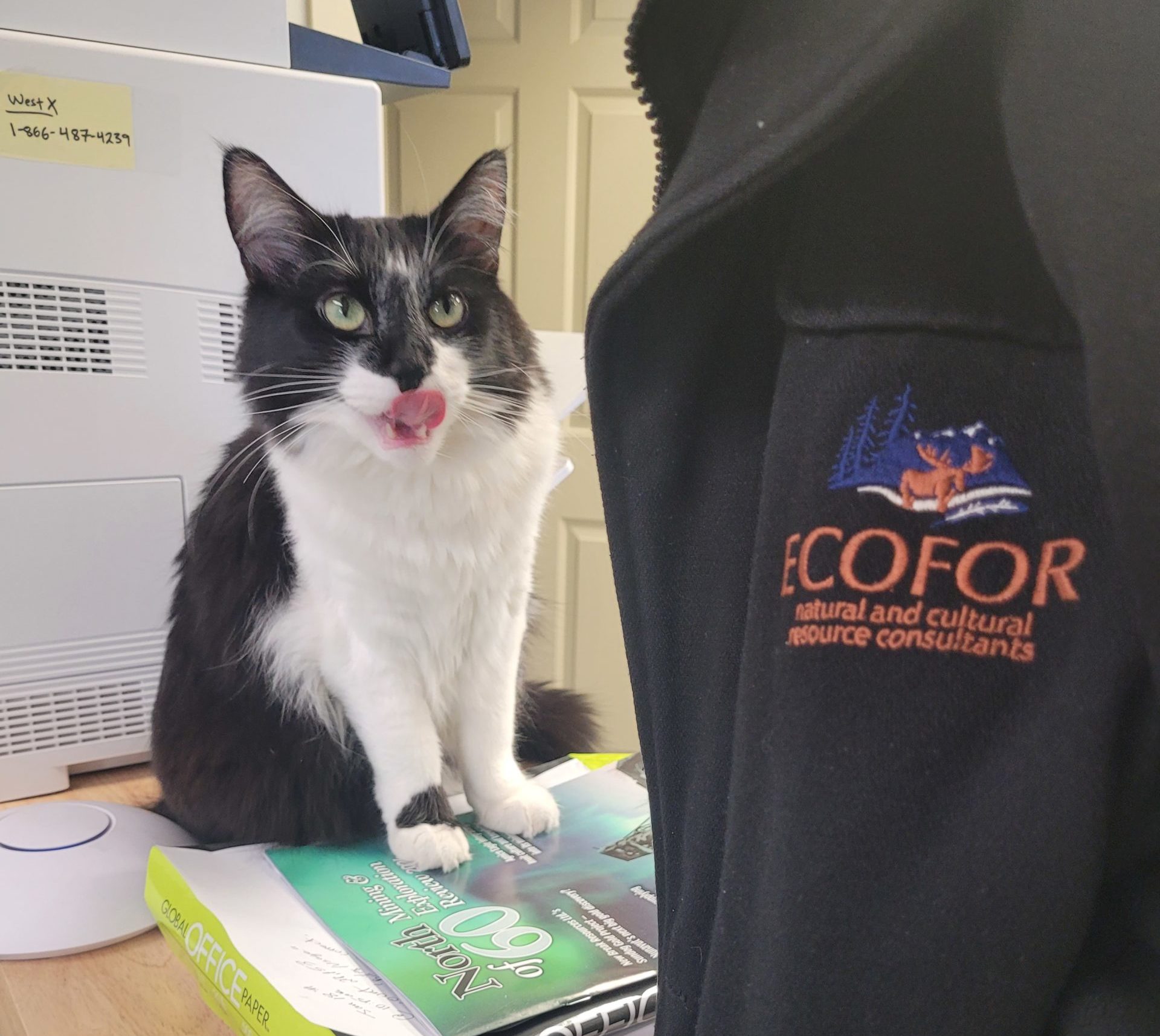 Clark - Ecofor Consulting Ltd - Natural & Environmental Resource ...