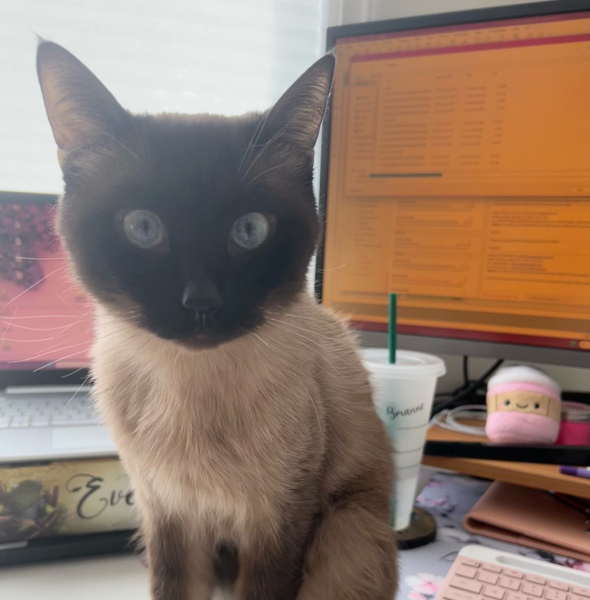 Toast - Ecofor Consulting Ltd - Natural & Environmental Resource ...